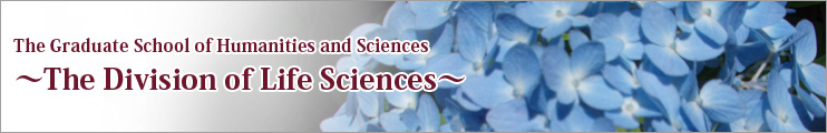 Ochanomizu University | The Graduate School of Humanities and Sciences ...